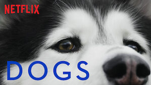 Queer Eye | Netflix Official Site