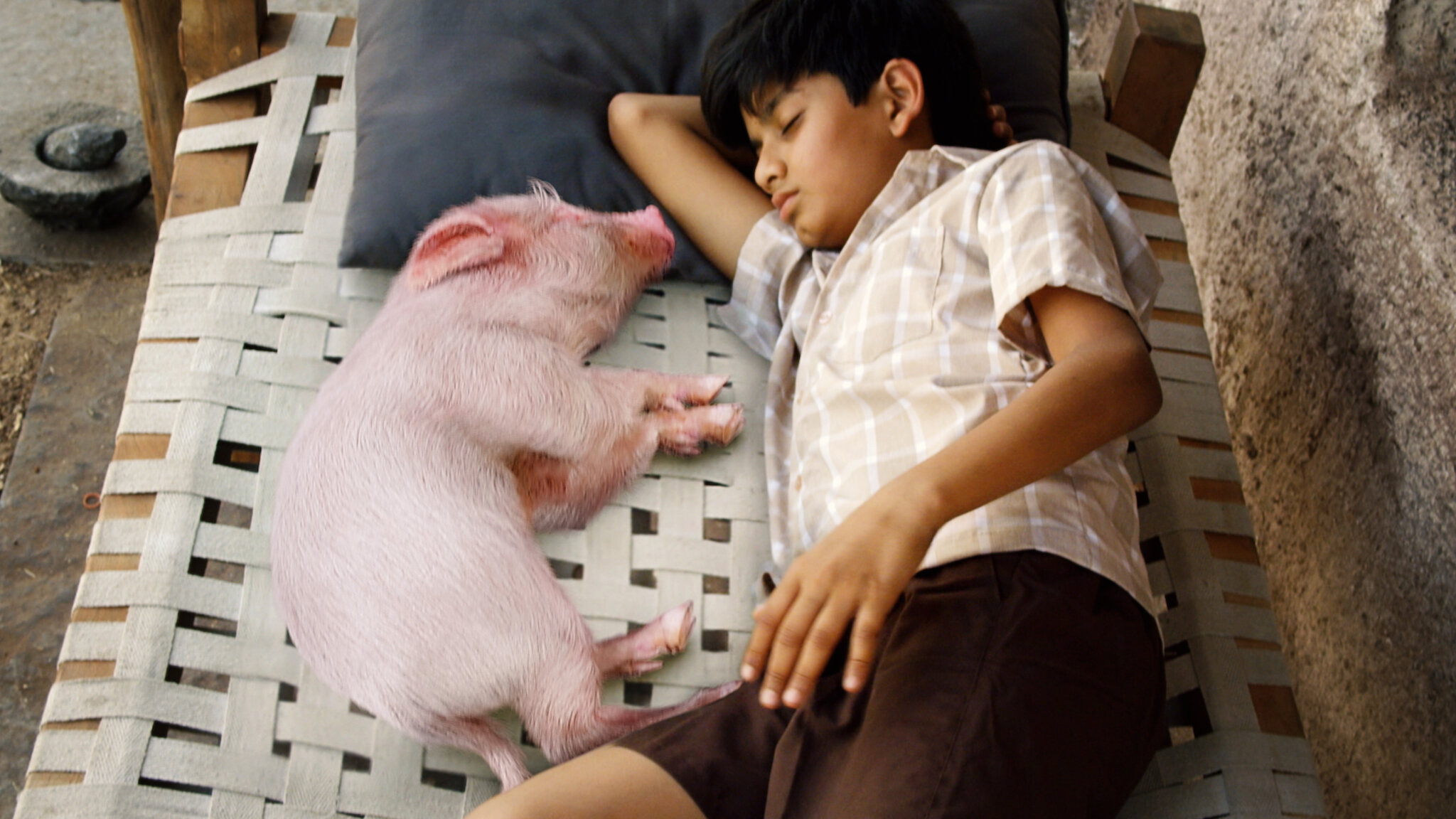 Watch Adhugo | Netflix