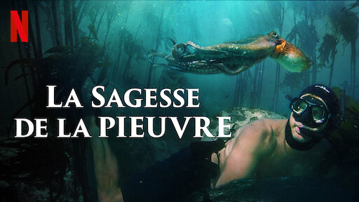 Icare | Site officiel de Netflix