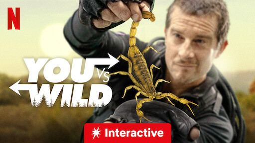 Watch Ranveer vs Wild with Bear Grylls | Netflix Official Site