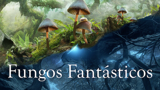 Black Holes | The Edge of All We Know | Netflix