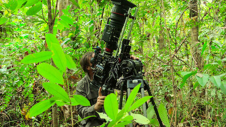 Watch Our Planet | Netflix Official Site