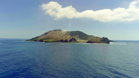Watch The Volcano: Rescue from Whakaari | Netflix Official Site