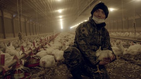 Rotten | Netflix Official Site