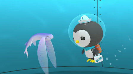 Watch Octonauts | Netflix