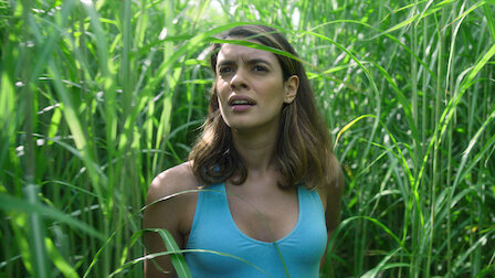 In the Tall Grass | Netflix Official Site
