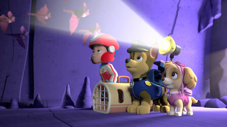 Watch PAW Patrol | Netflix