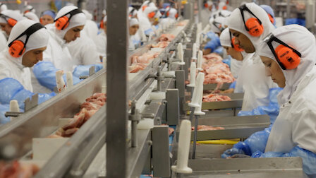 Watch Rotten | Netflix Official Site