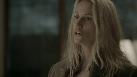 Watch The Bridge | Netflix