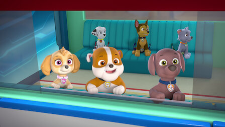 Watch PAW Patrol | Netflix