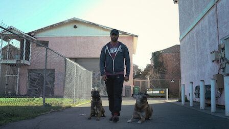 Watch Canine Intervention | Netflix Official Site