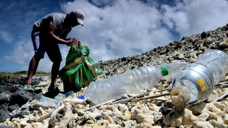 Watch History 101 | Netflix Official Site