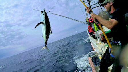 Watch Battlefish | Netflix Official Site