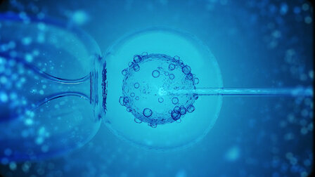 Watch History 101 | Netflix Official Site