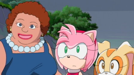Watch Sonic X | Netflix