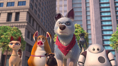 Watch Pets United | Netflix Official Site