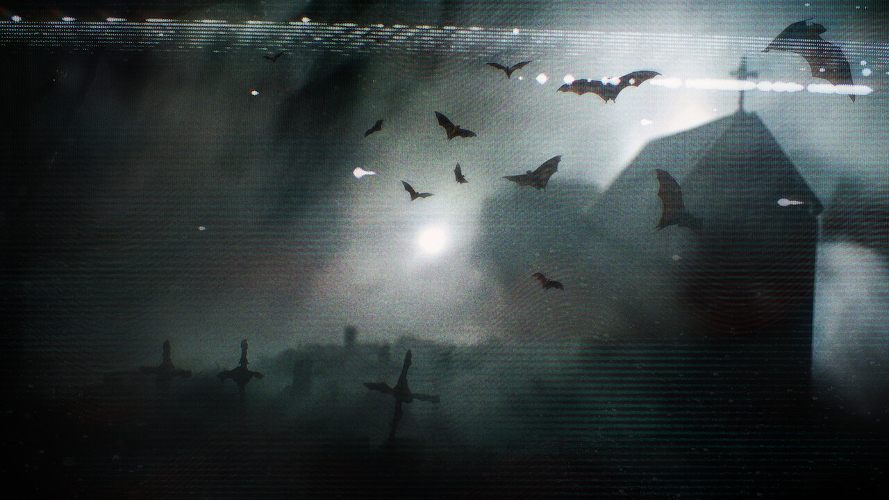 Watch Netflix and Chills | Netflix Official Site