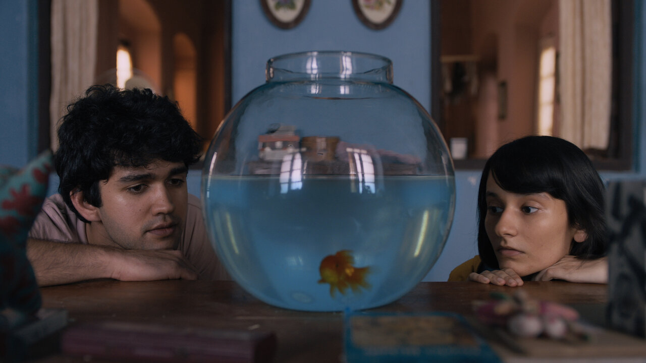 Watch What Are the Odds? | Netflix