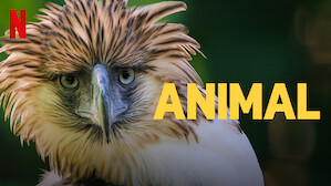 US TV Programmes | Netflix Official Site