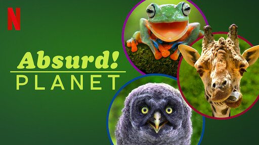 Watch David Attenborough: A Life on Our Planet | Netflix Official Site